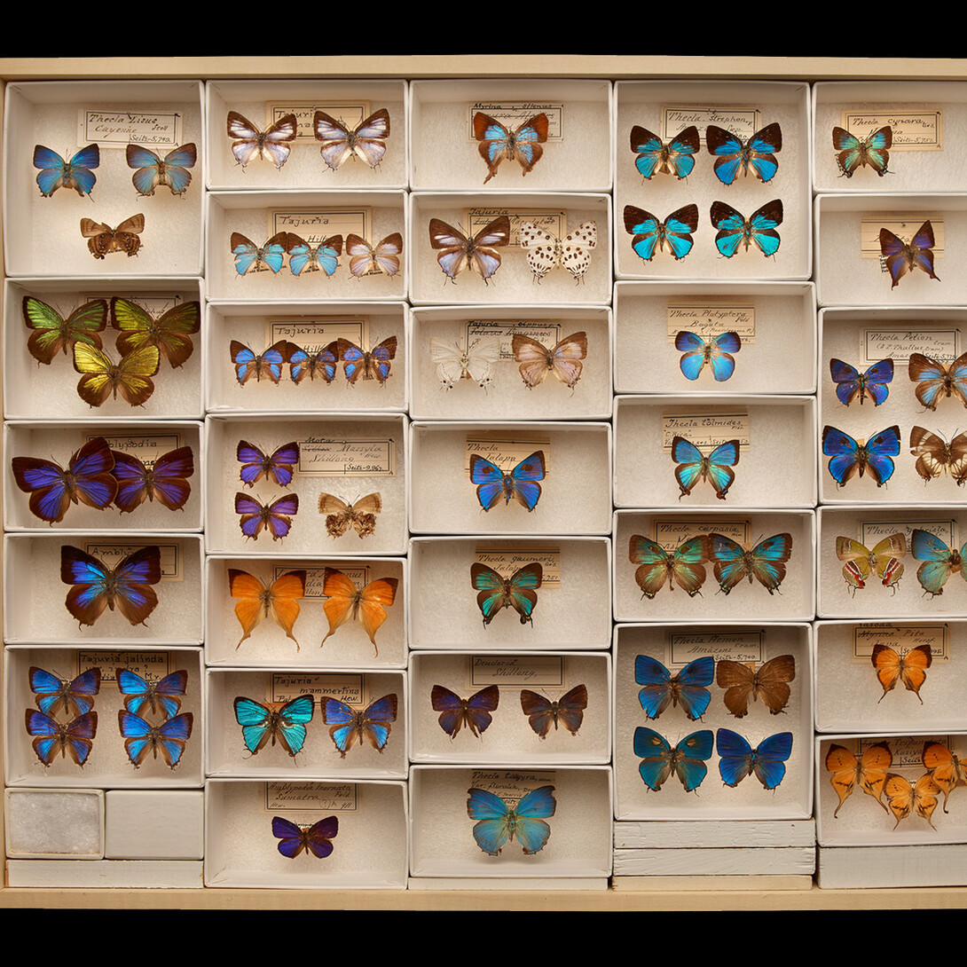 DNA Discovery Center | Meer