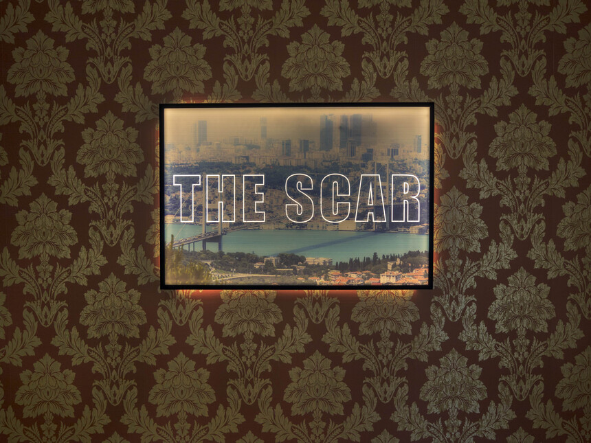 The Scar | Meer