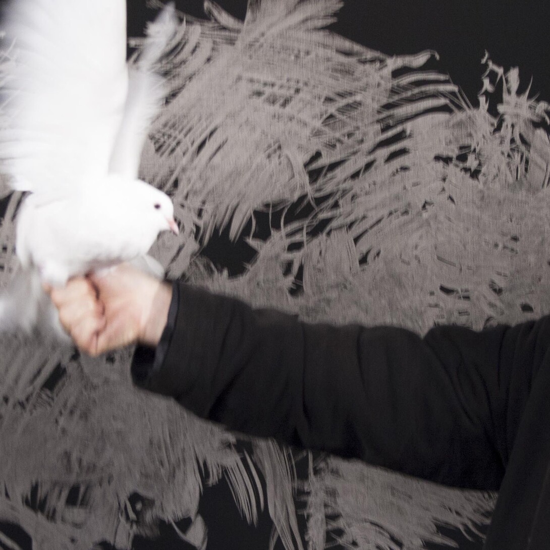 Hong Kong Art Gallery Association