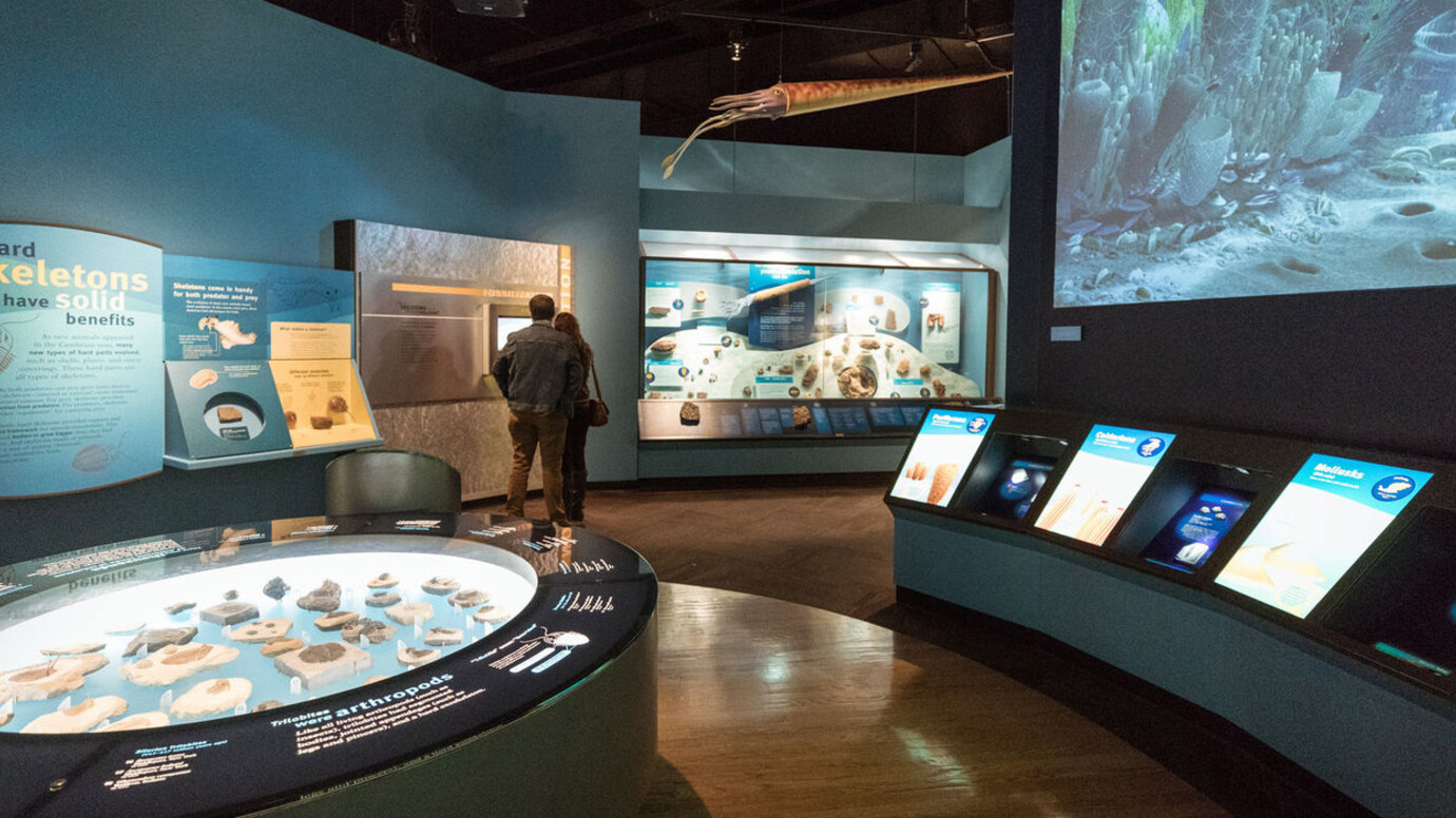 Griffin Halls of Evolving Planet | Meer