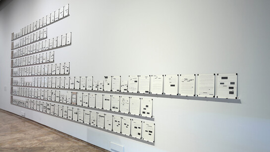 Higiene pública: la sociedad como cuerpo enfermo | Meer