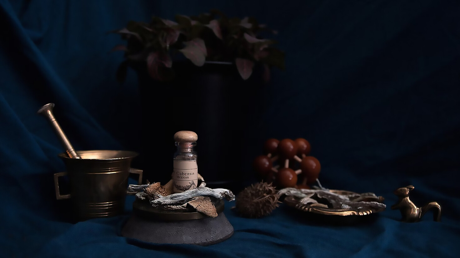 Tiny doses, big questions in the future of mental health | Meer