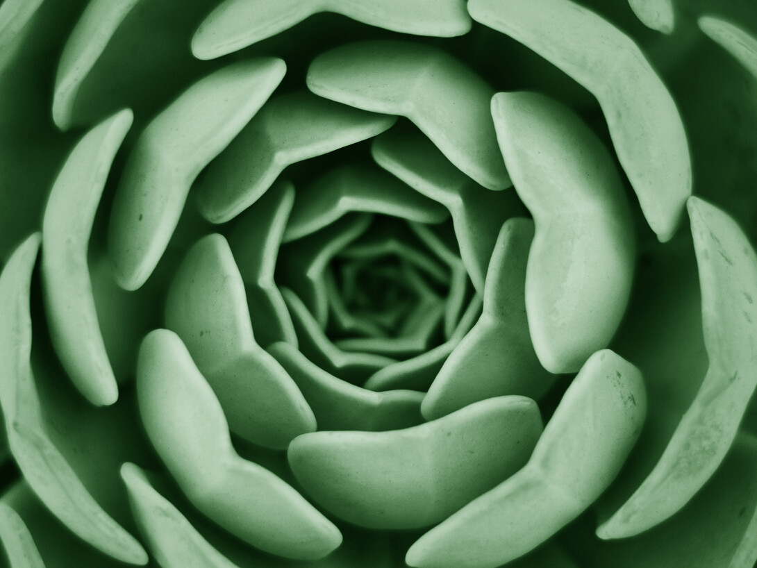 The mattering map | Meer