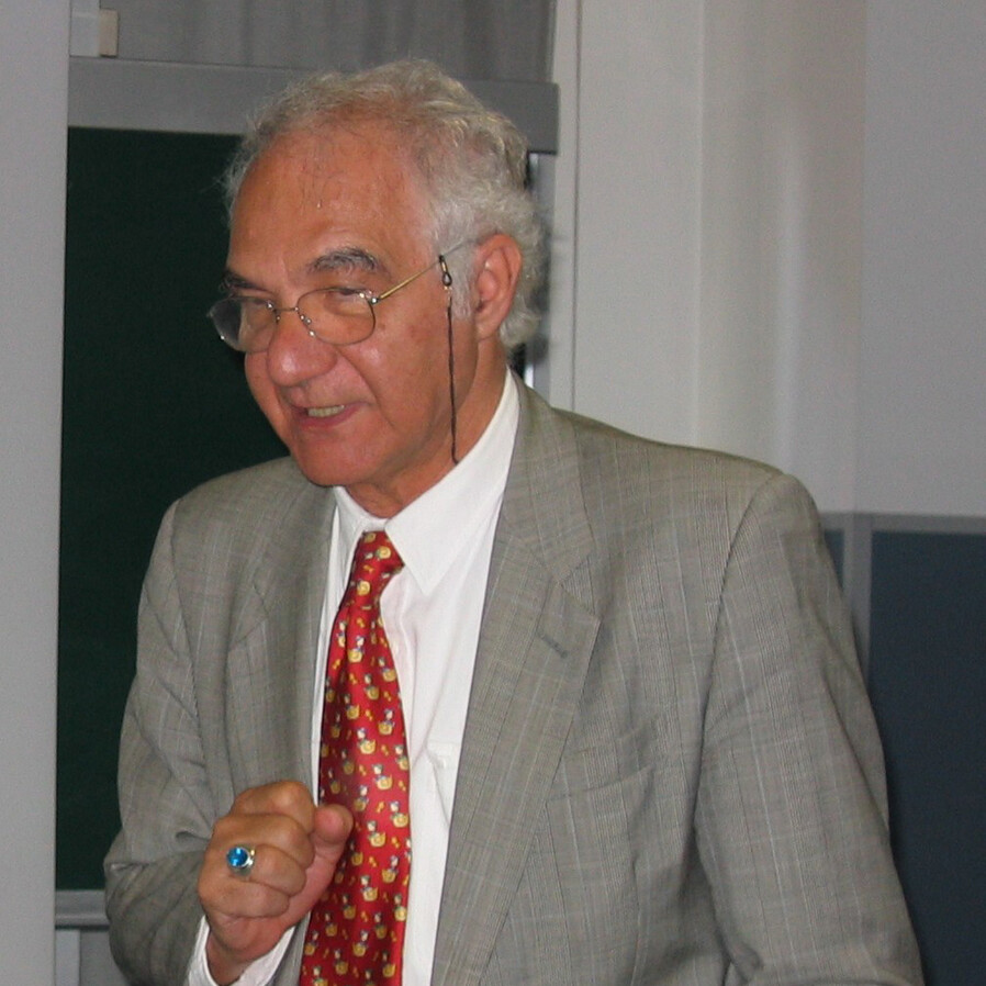 Pier Luigi Luisi | Meer