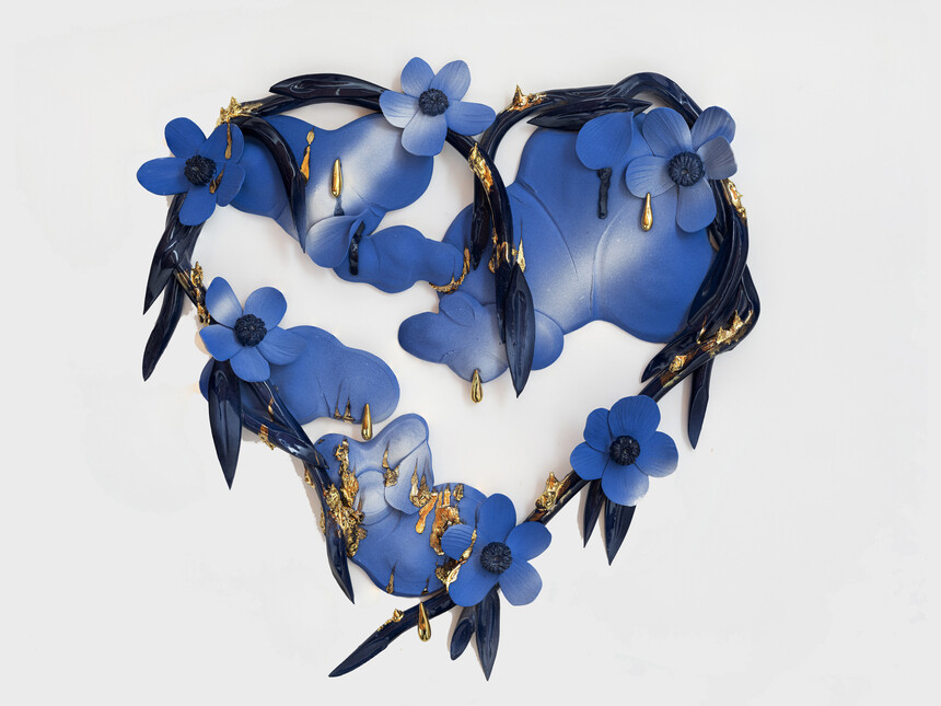 Alex Anderson. Everything is made of light | Meer