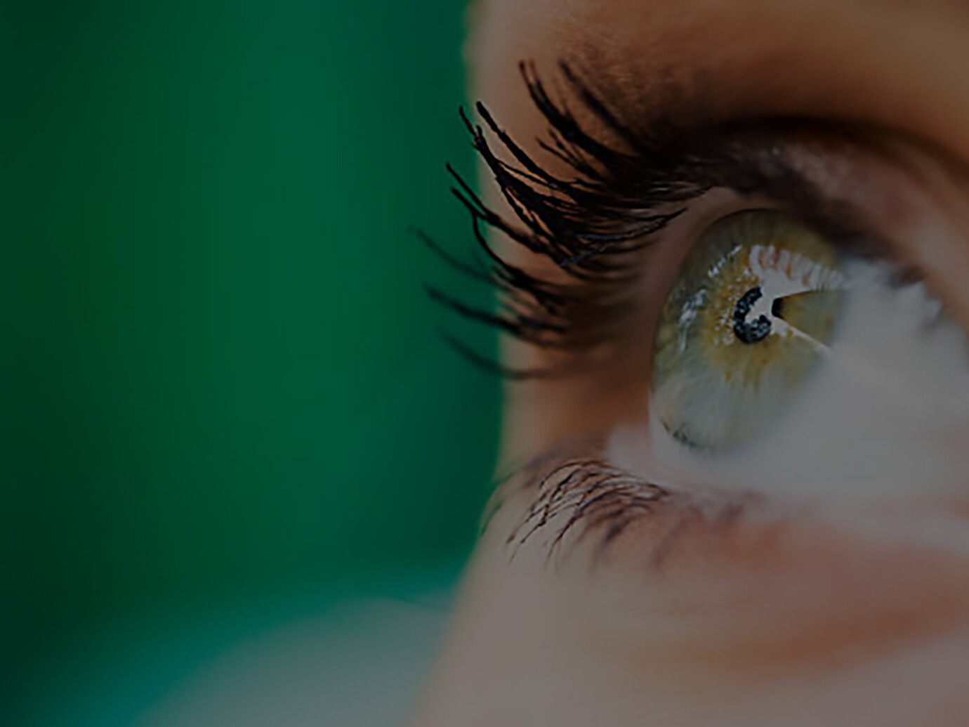 Perception vs. perspective: depths of human understanding | Meer