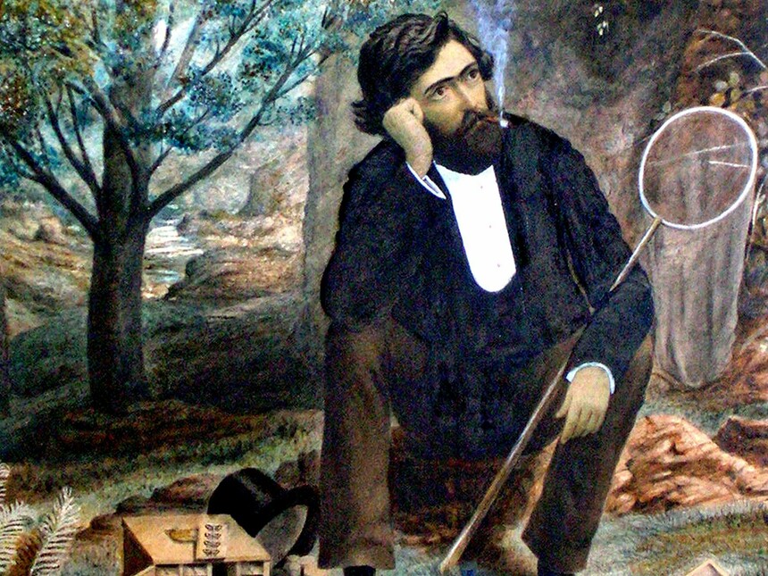 David Dyson, naturalista | Meer