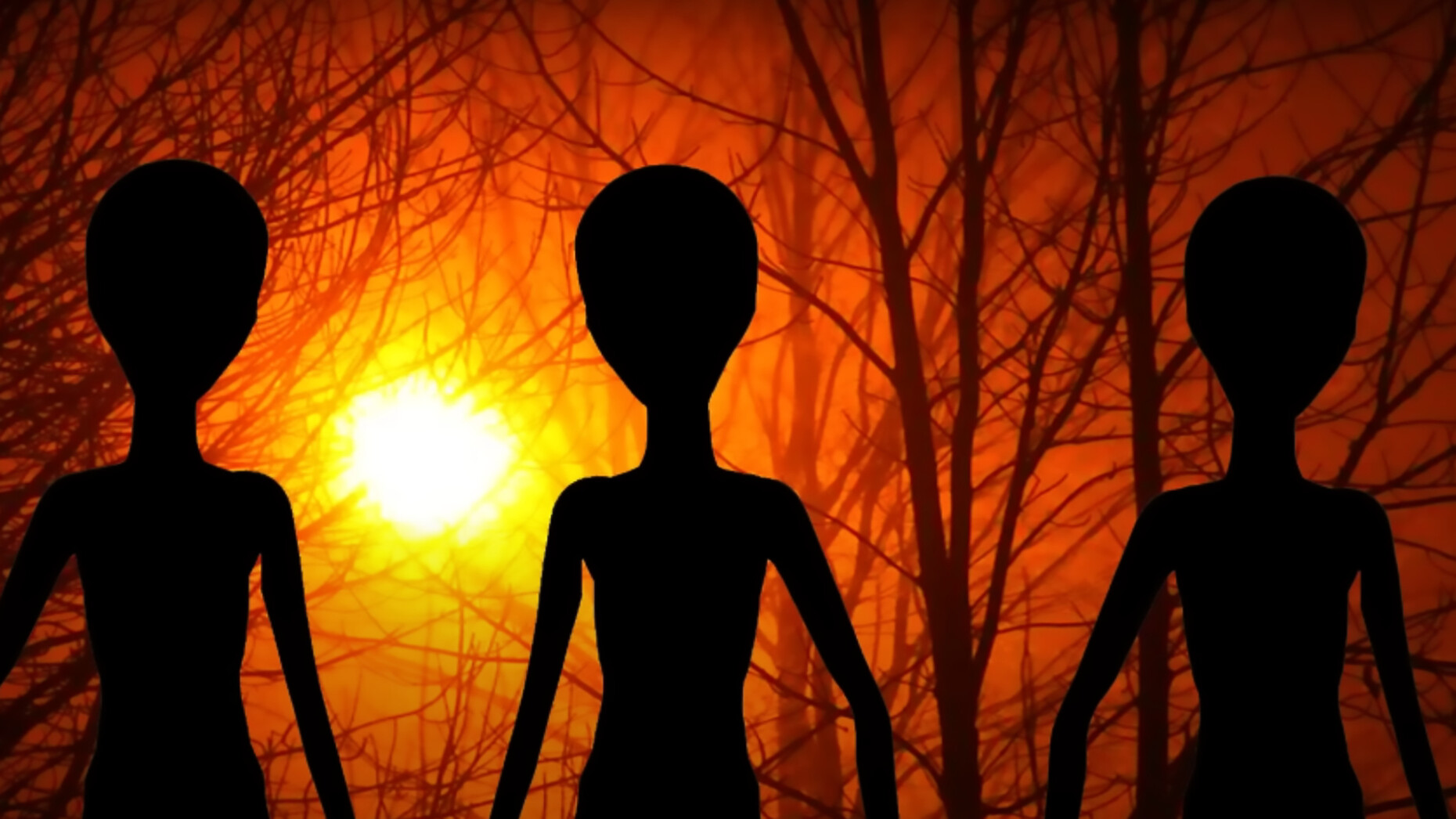 Ancient aliens spotlight | Meer