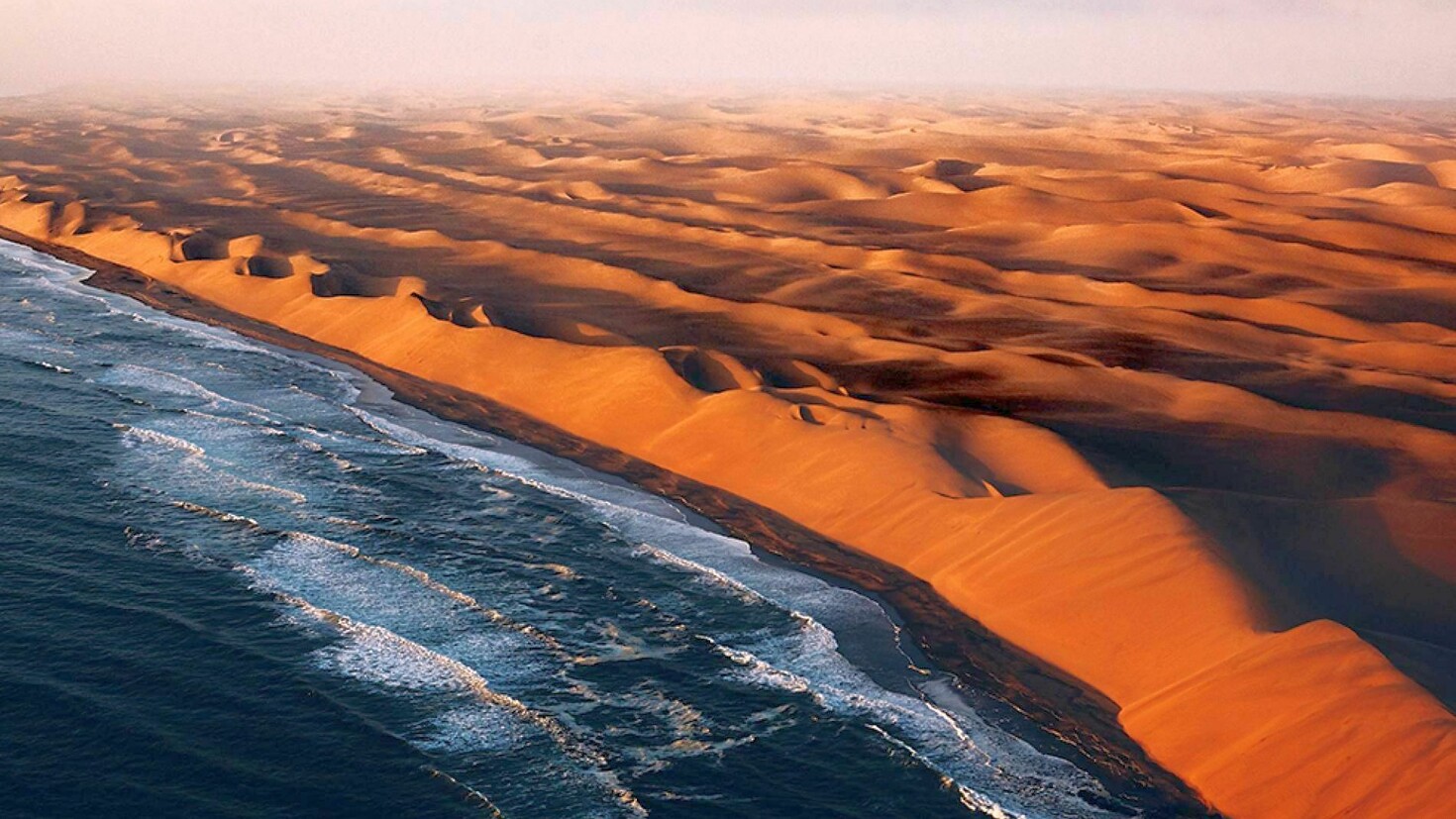 When chickens could fly! | Meer