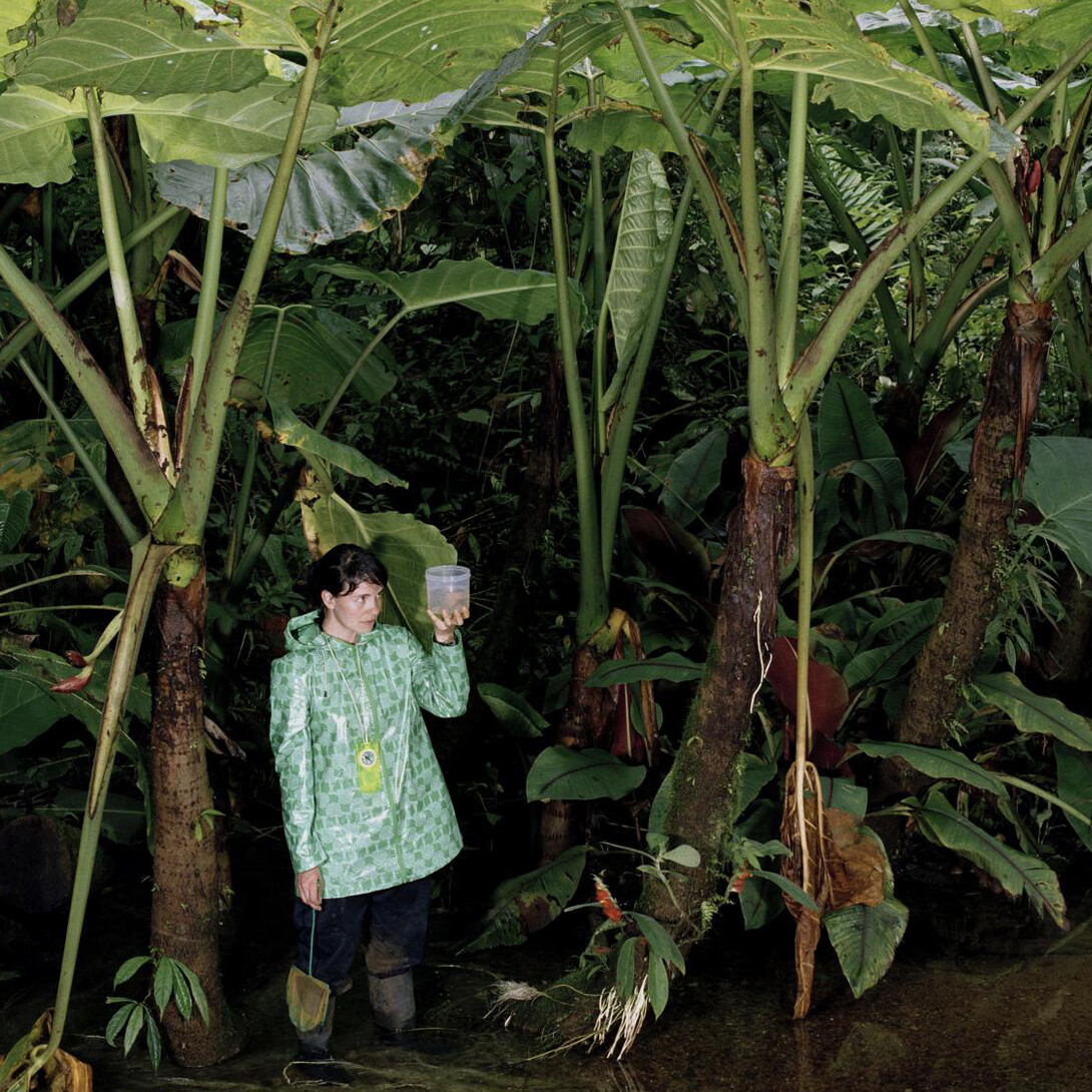 Finnish Landscape | Meer