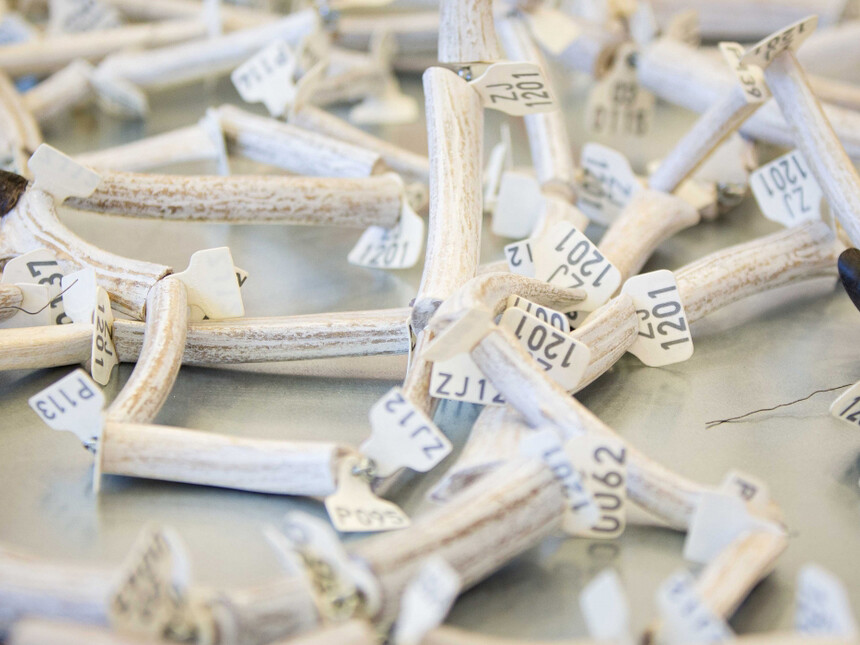 Intersections | Meer