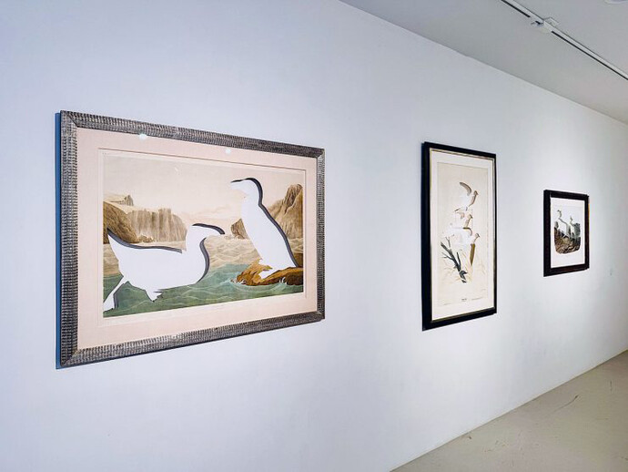 Brandon Ballengée. L’art de la solitude | Meer