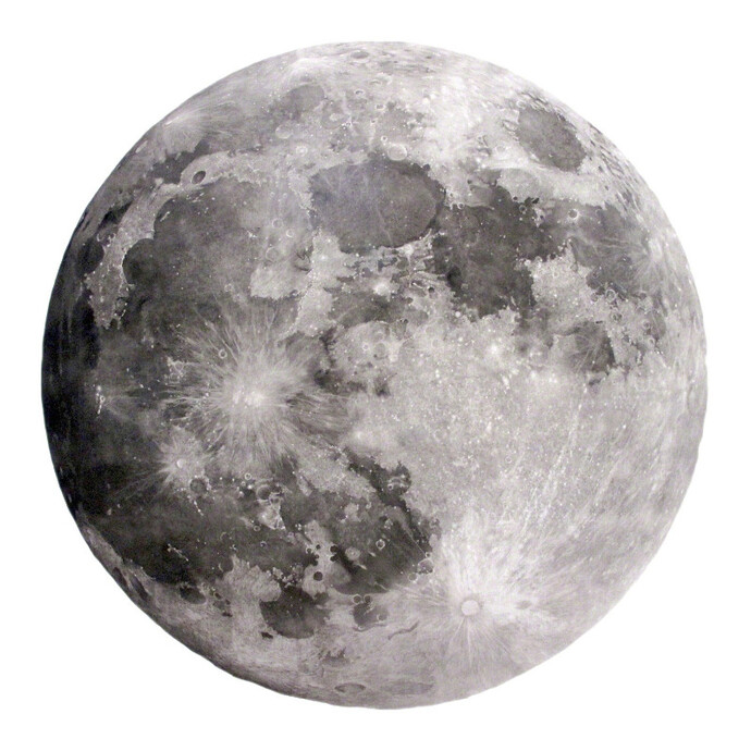 Jonathan Delafield Cook | Meer