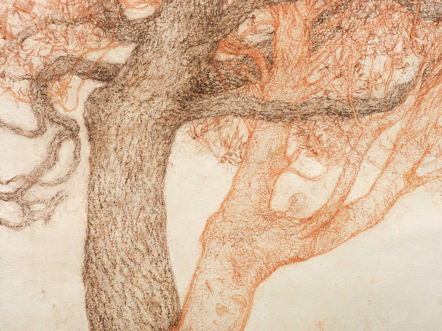 Daniel Chatto, Symbiosis | Long & Ryle Gallery