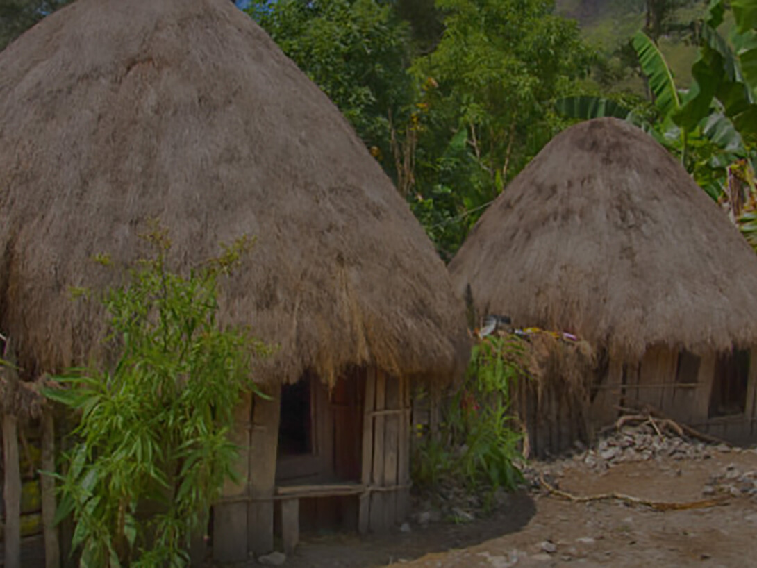 Sustainable vernacular architecture in Papua New Guinea | Meer