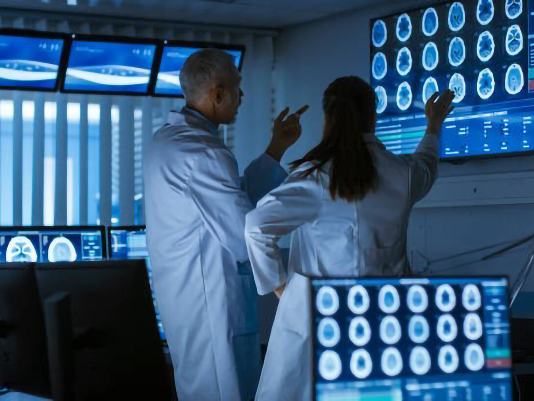 The brain's role in love, pain, and desire | Meer