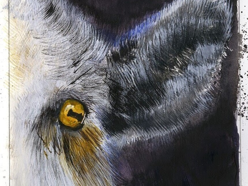 Giorgio Maria Griffa, Occhi di capra, 20 x 20 cm | Galleria dell'Incisione