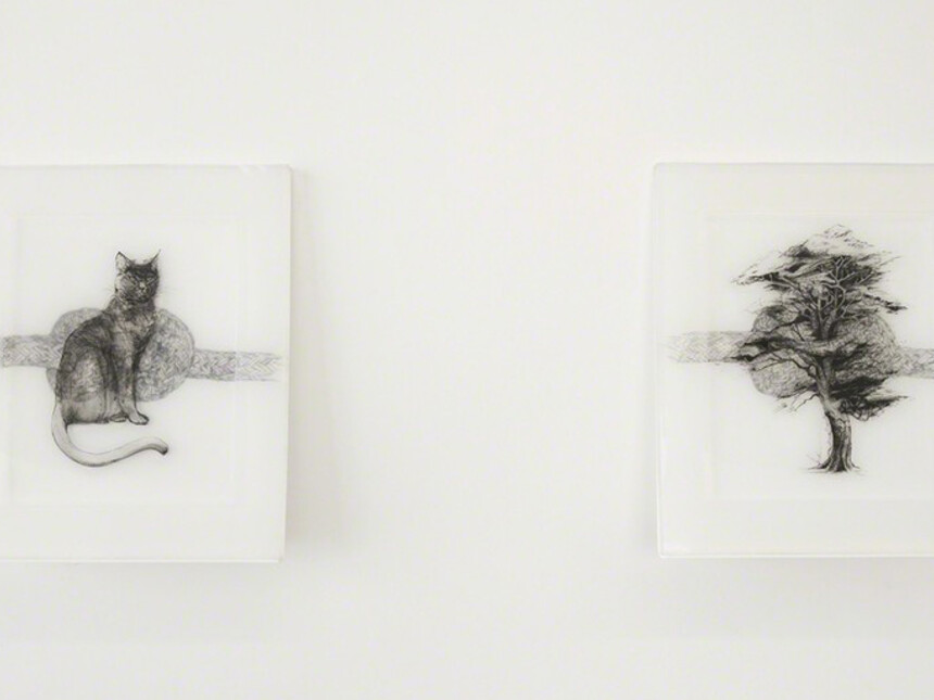 Camille Schefter | Meer