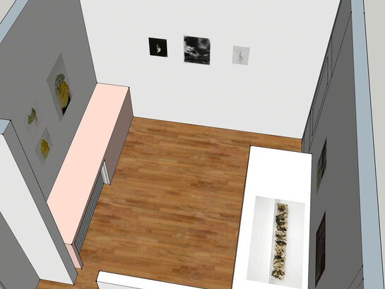 Below the Surface | Meer