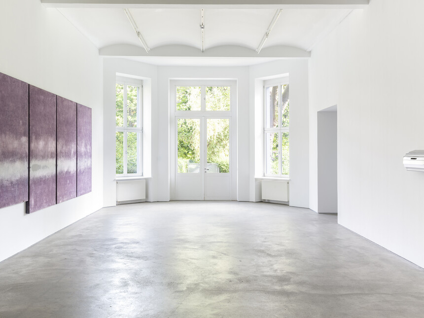 Retinal rivalry | Meer