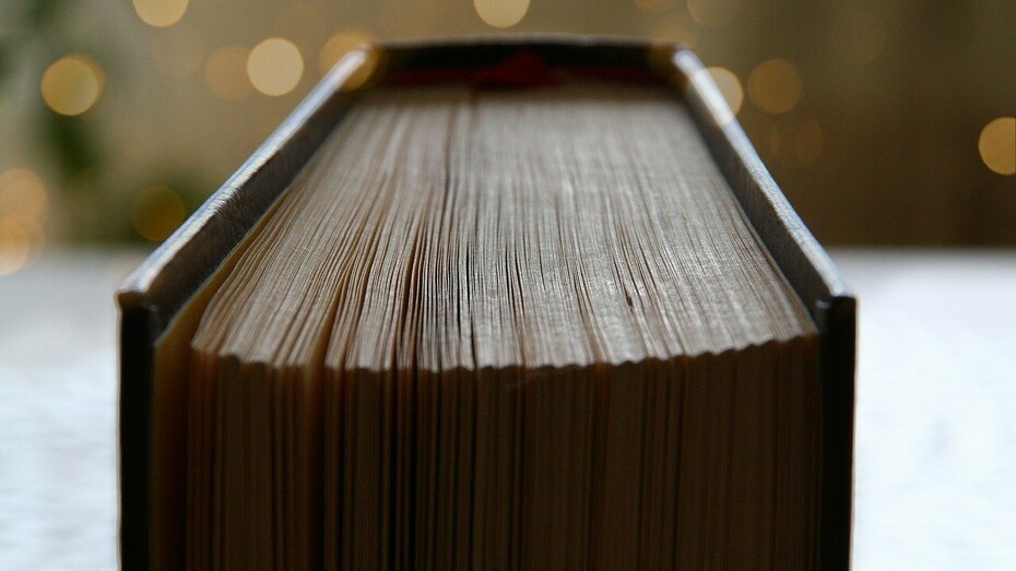 Le legature papali nella raccolta di Alberto di Castro | Meer