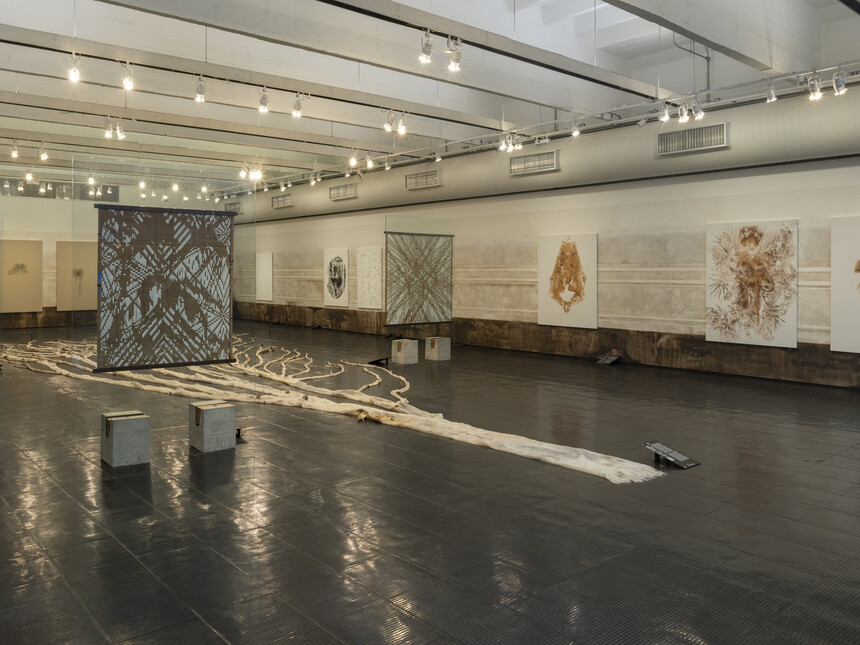 Point of no return | Meer