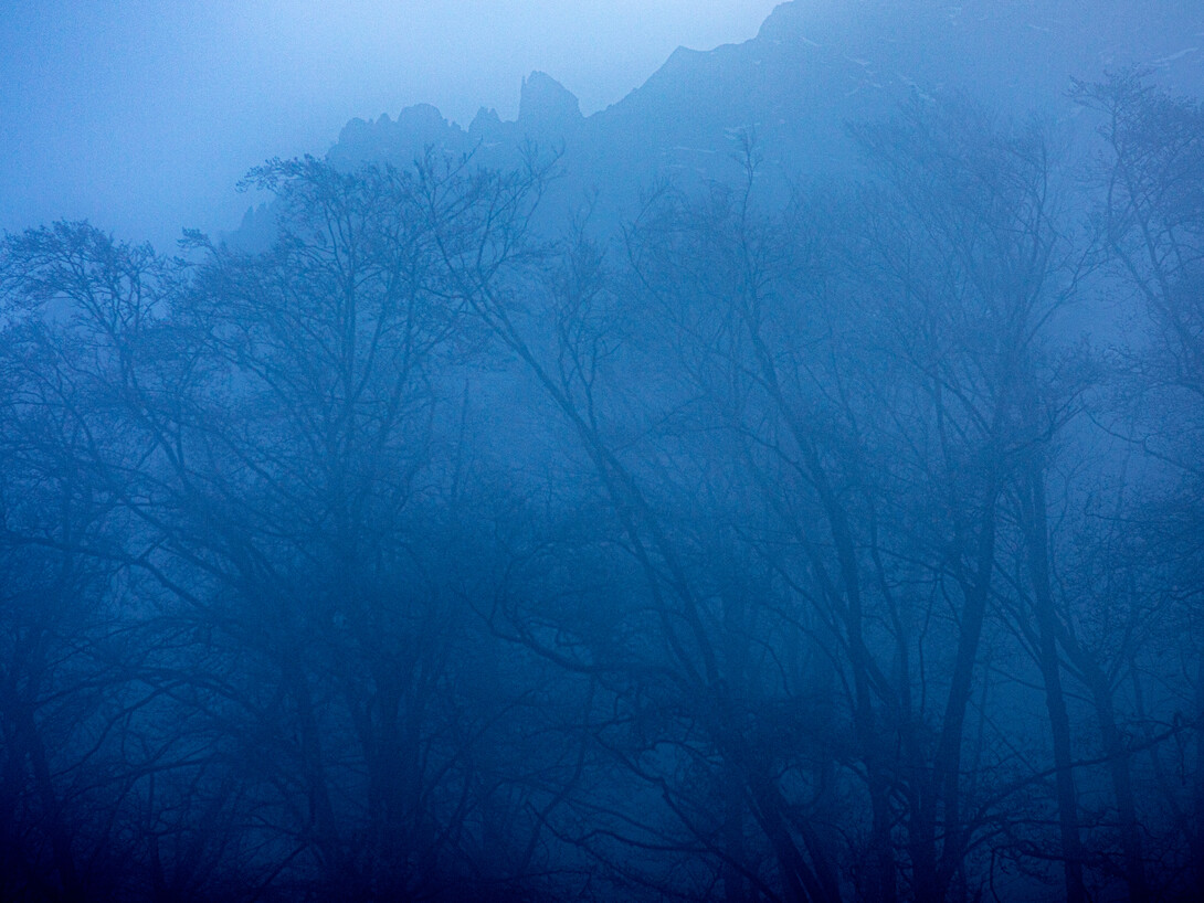 Forbidden city of the heart | Meer