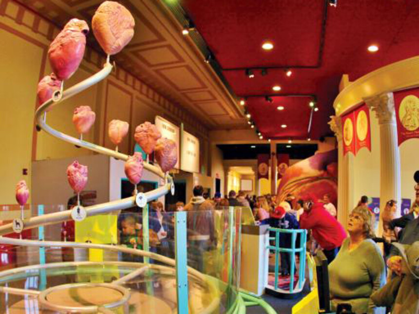 The Giant Heart | Meer