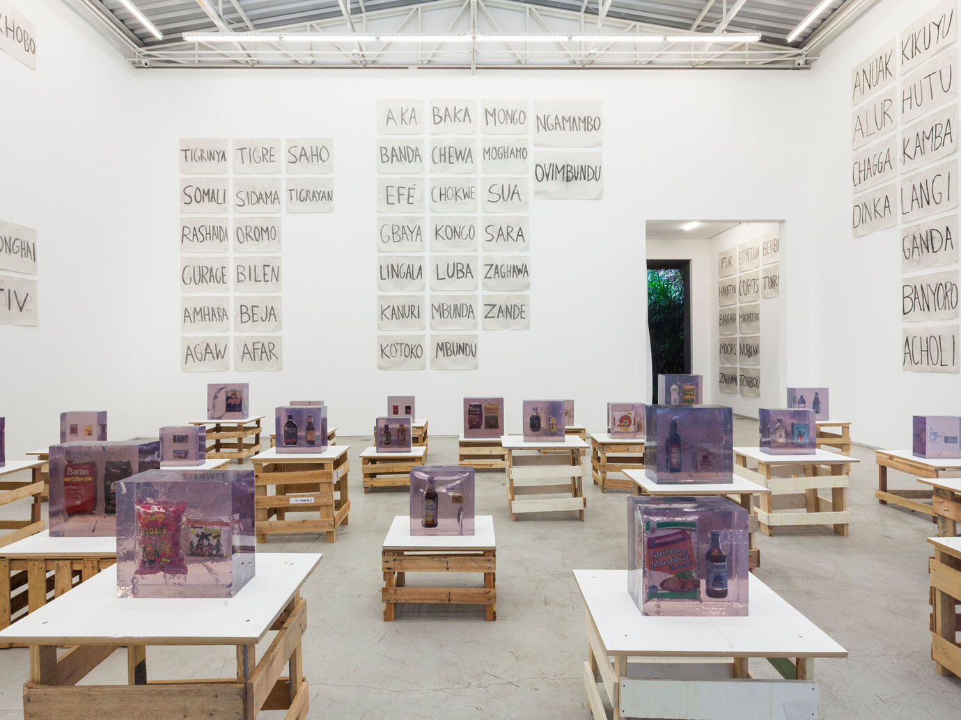 Paulo Nazareth | Meer