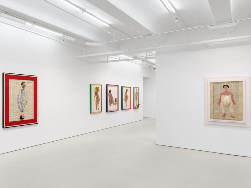 Becoming animal | Meer