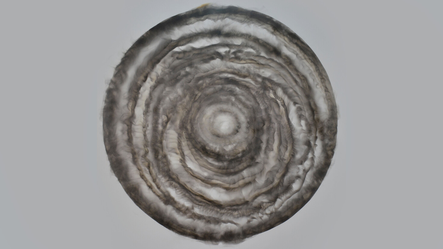 Miguel Hernández Bastos | Meer