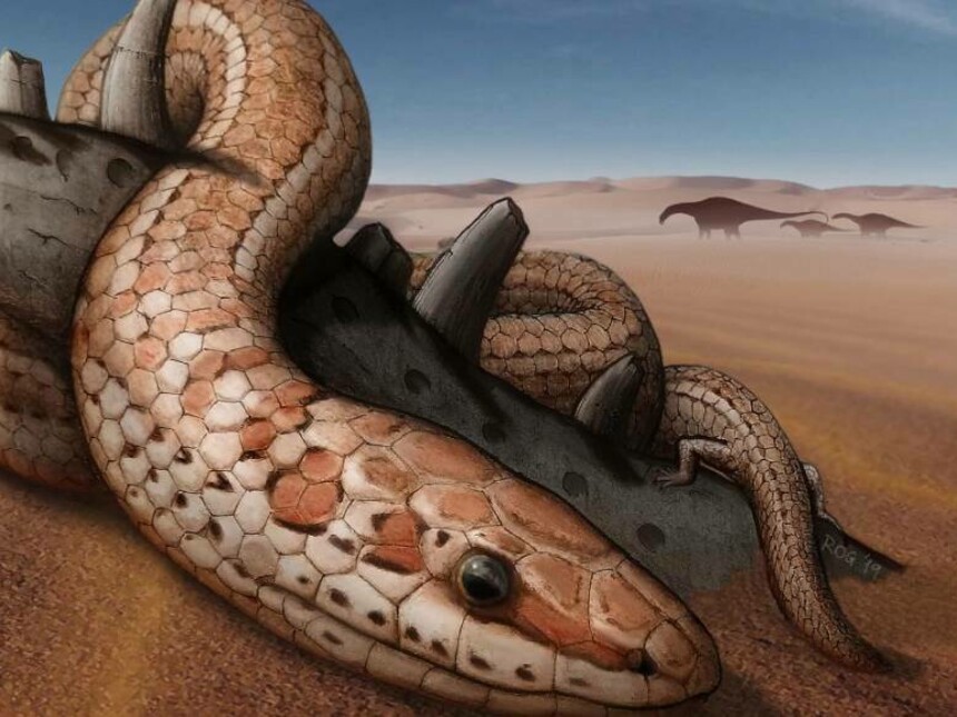 Year of the earth serpent changing colors | Meer