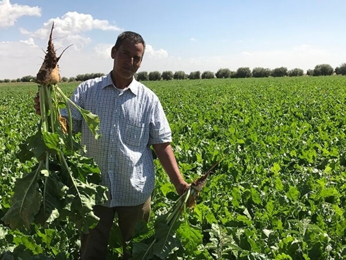 Morocco Generation Green 2020-2030 | Meer