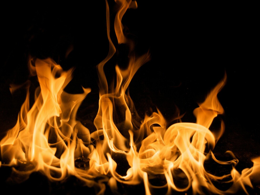 La scoperta del fuoco | Meer