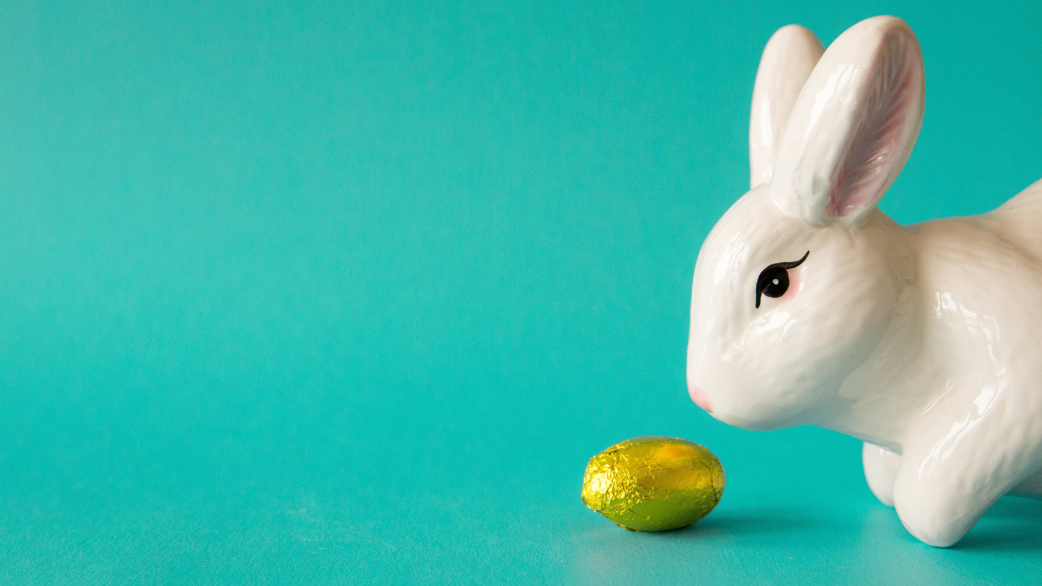 Follow the white rabbit, face the Matrix | Meer