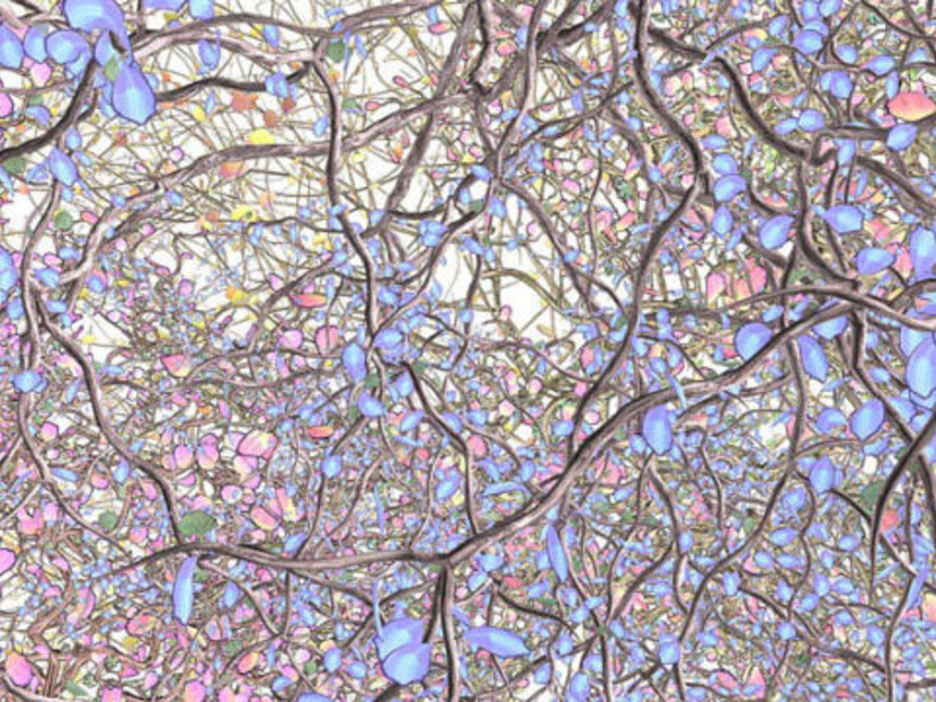 Jennifer Steinkamp | Meer