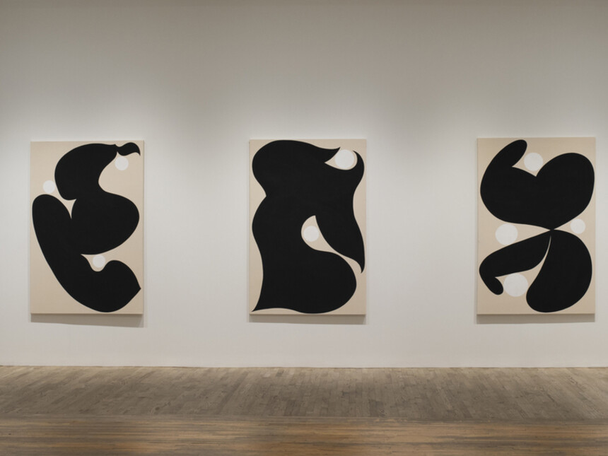 Giovanni Garcia-Fenech | Meer