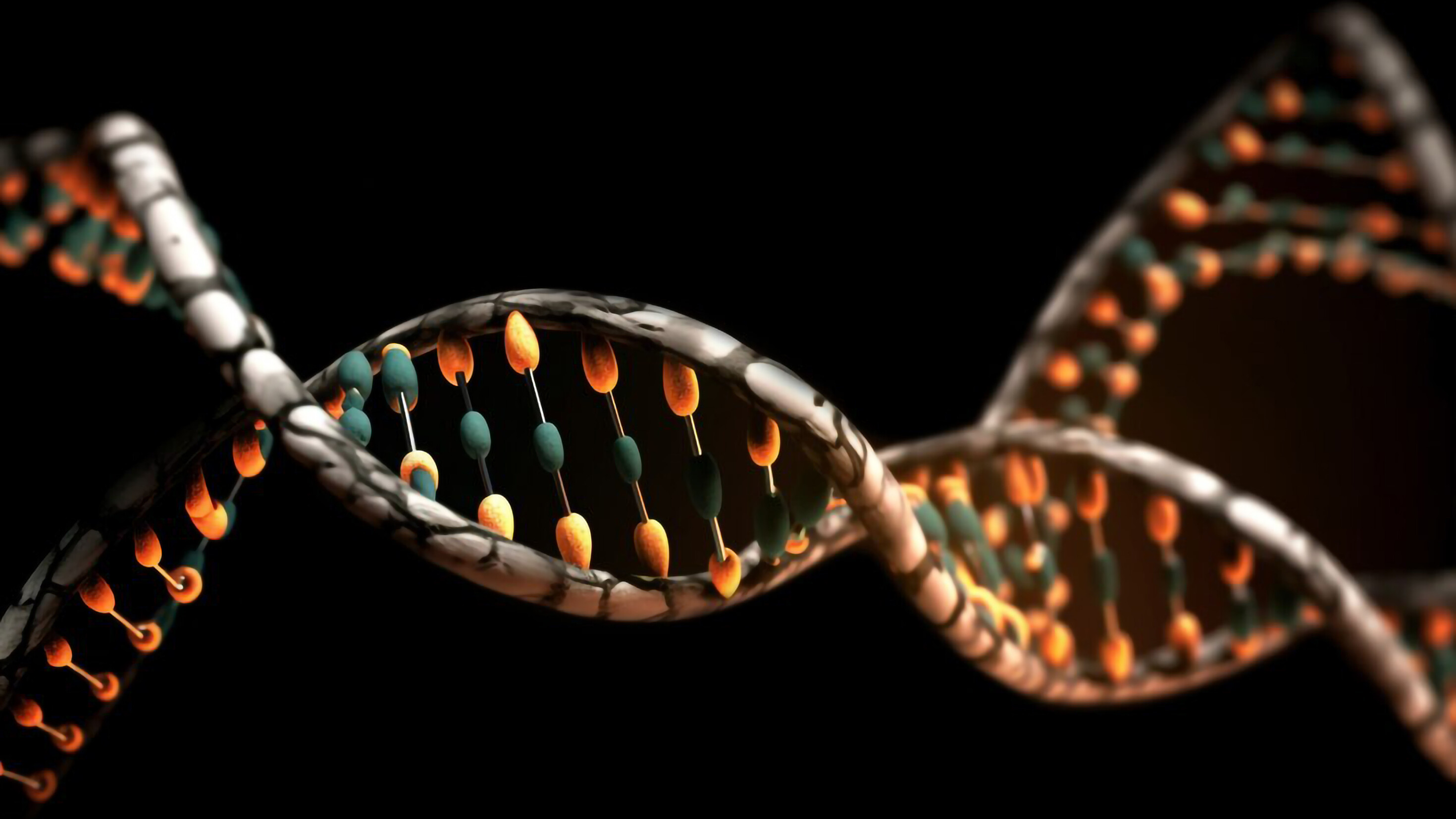 How your diet shapes your genes and health | Meer