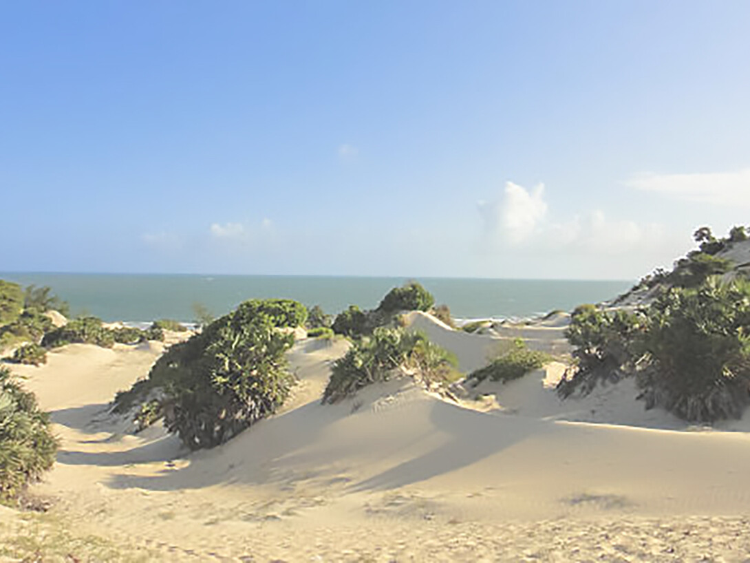 Exploring Lamu coast: Kenya's cultural & natural gem | Meer