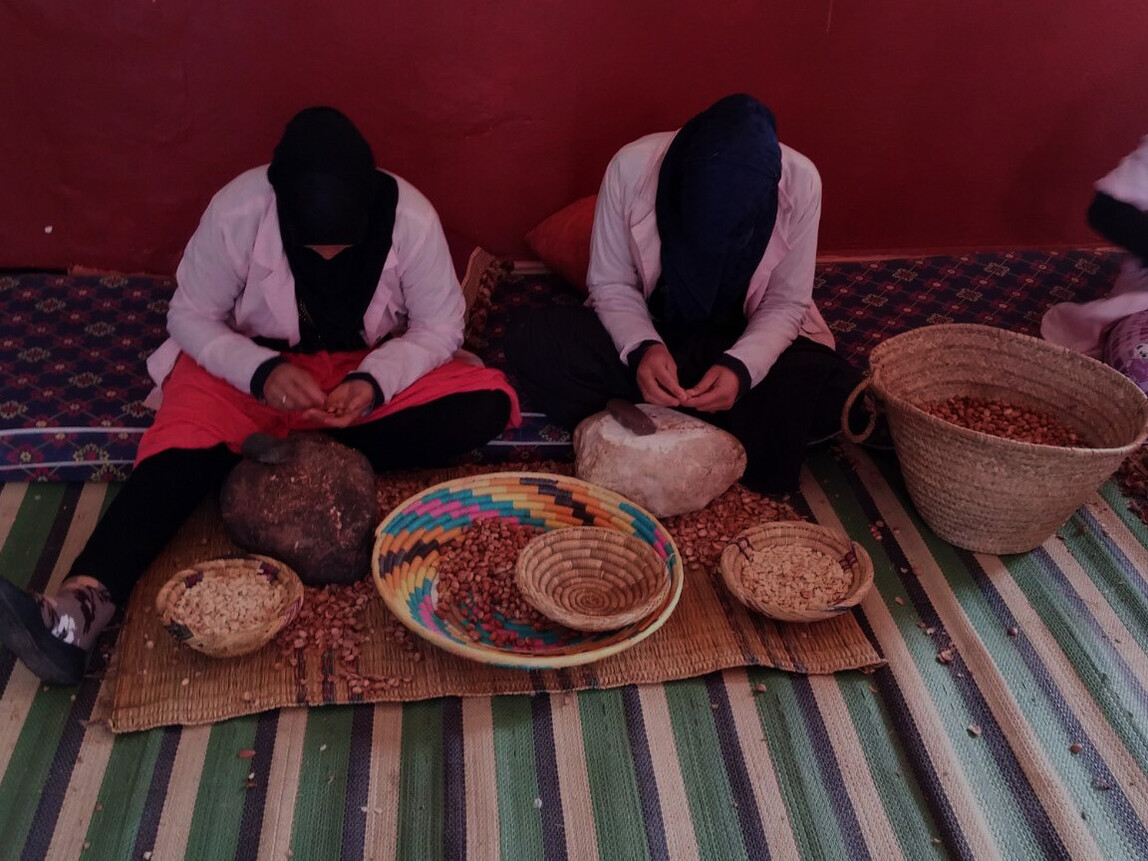 The Argan tree is the Moroccan tree of life | Meer