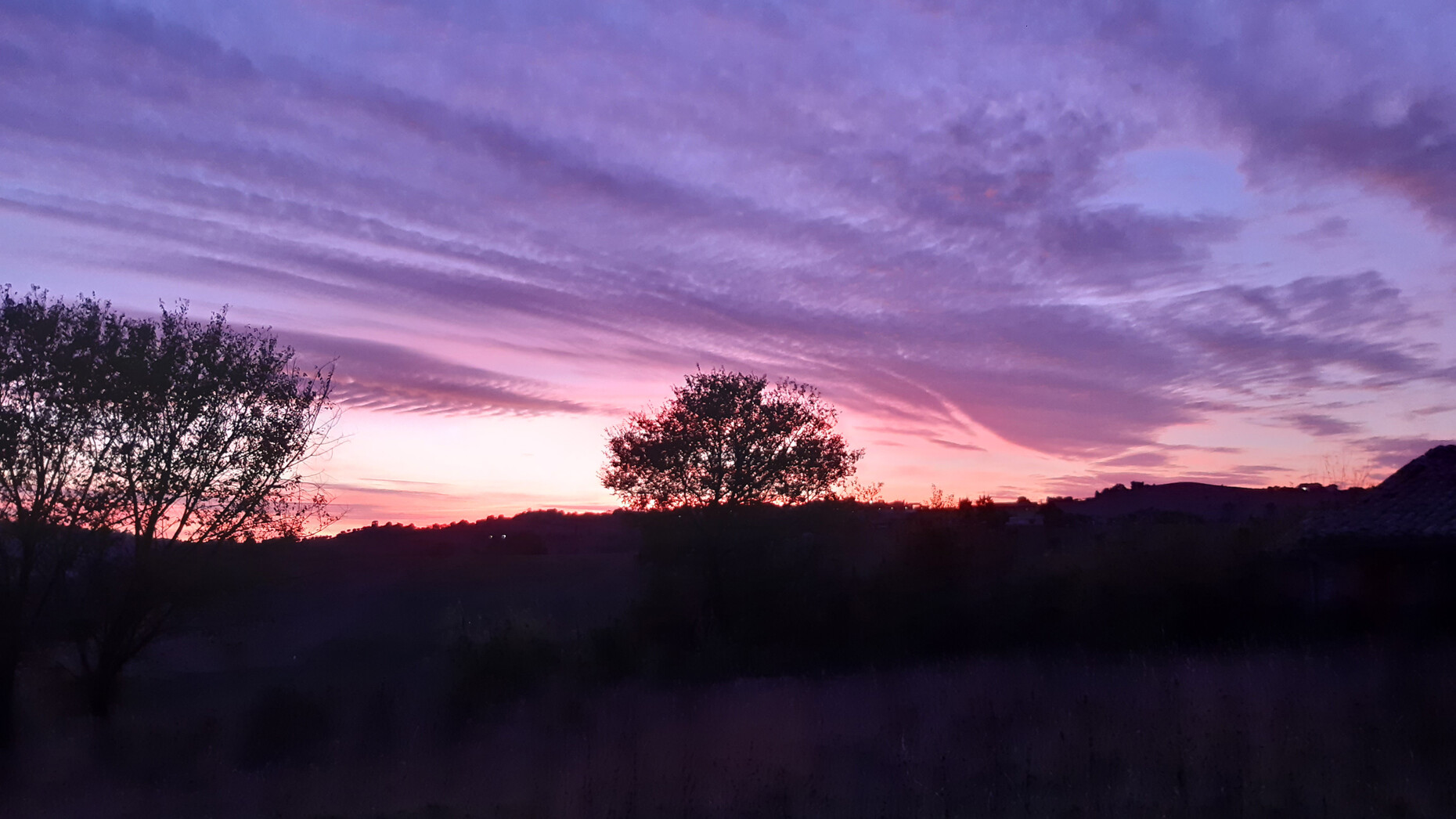 Intervista a Valeria Nardi | Meer