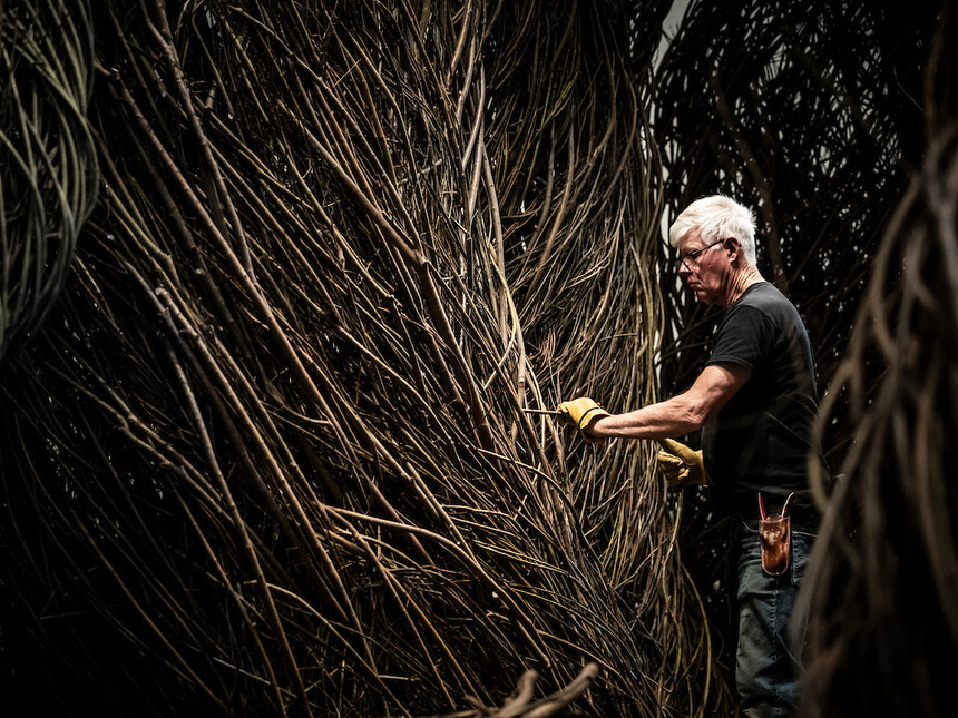 Patrick Dougherty | Meer