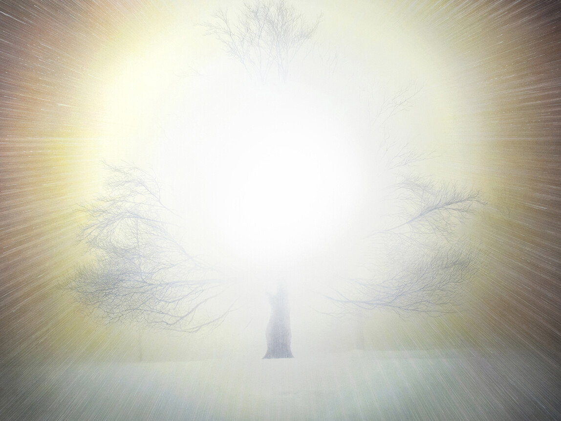 Joseph Smolinski. Second Nature | Meer