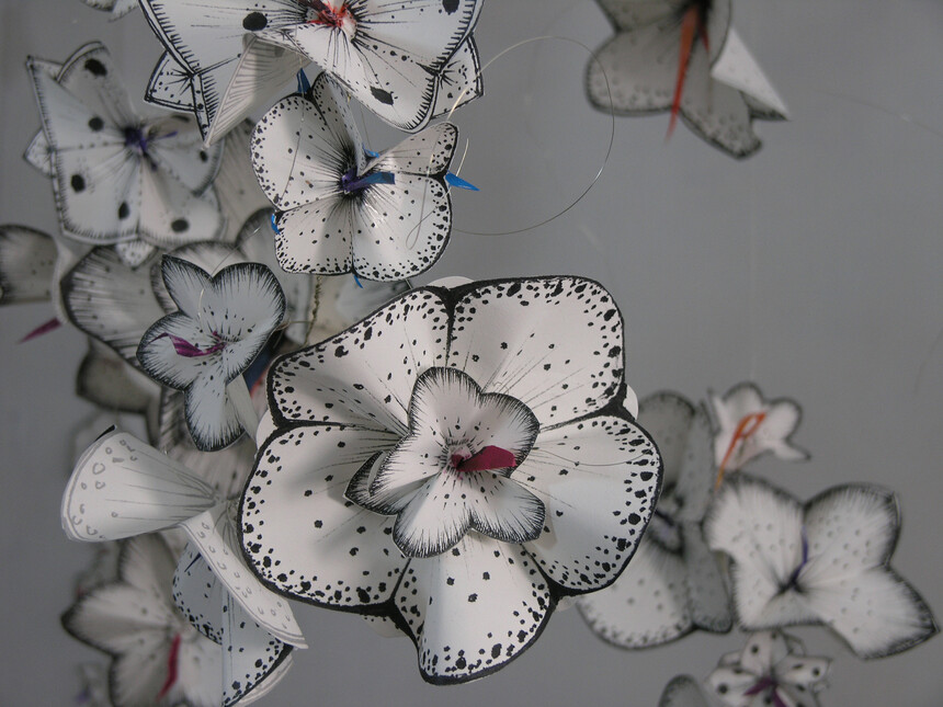 Marigo Kasi. The Persistence of Spring | Meer