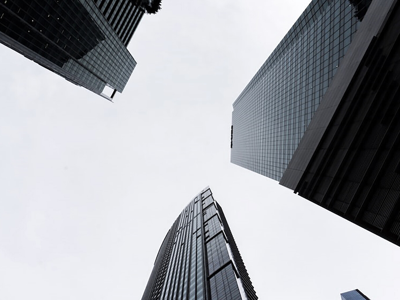 Navigating political turbulence | Meer