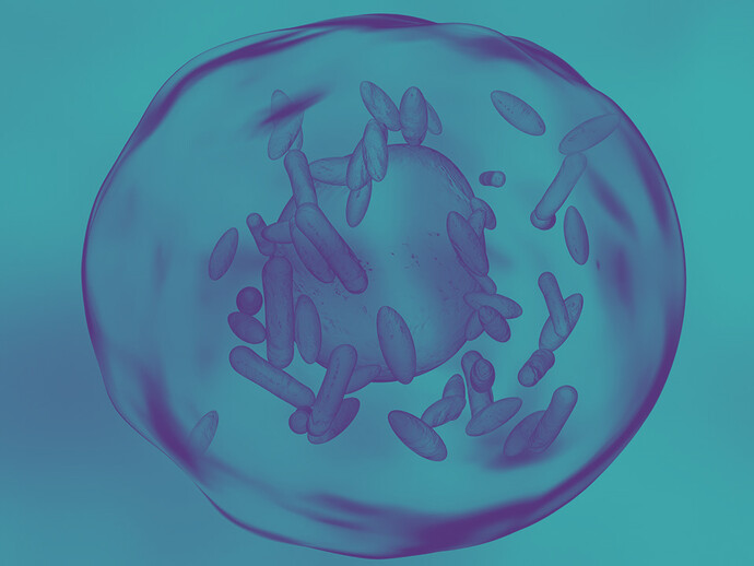 Frank Macfarlane Burnet | Meer