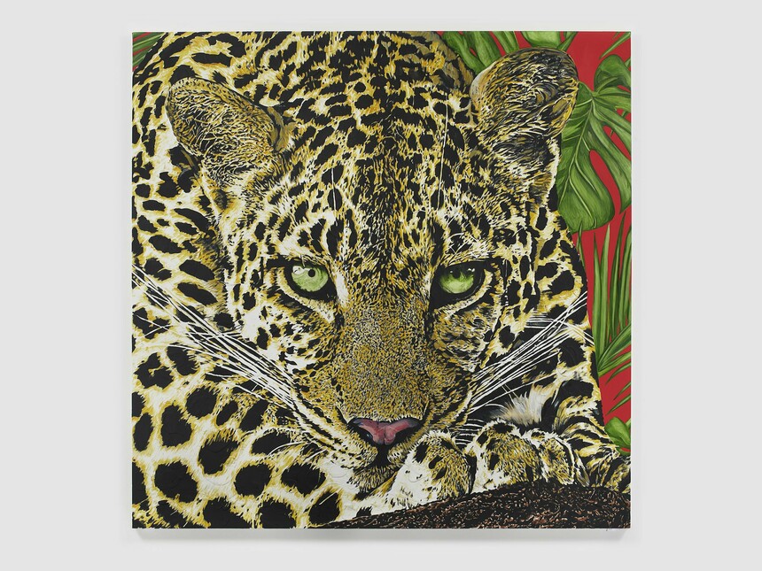 John Newsom. Beasts | Meer