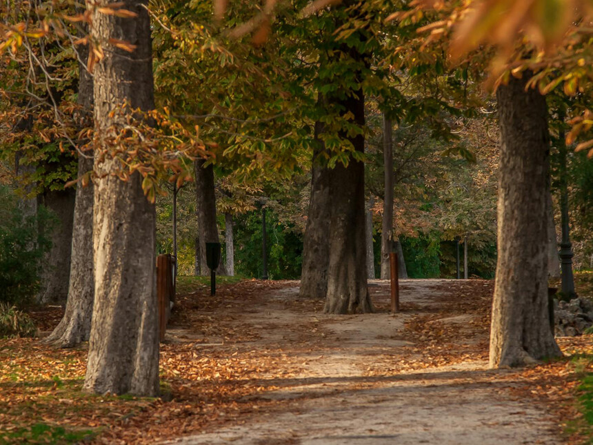 ¿Por qué los parques están vacíos? | Meer