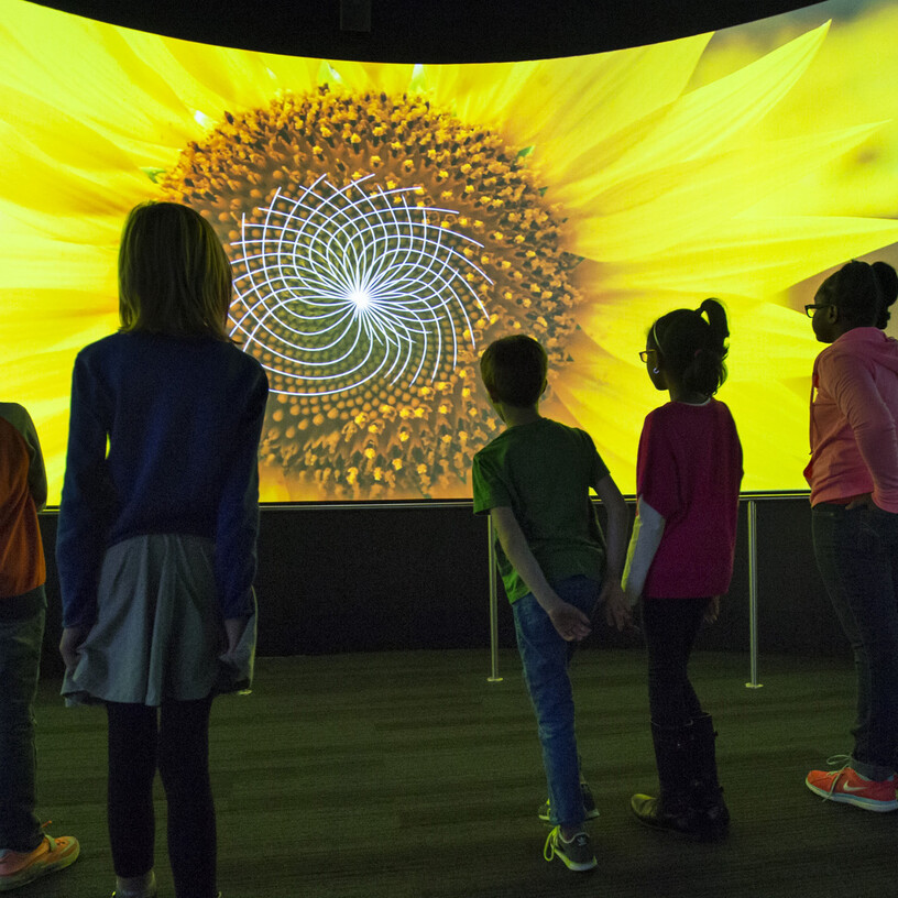 DNA Discovery Center | Meer