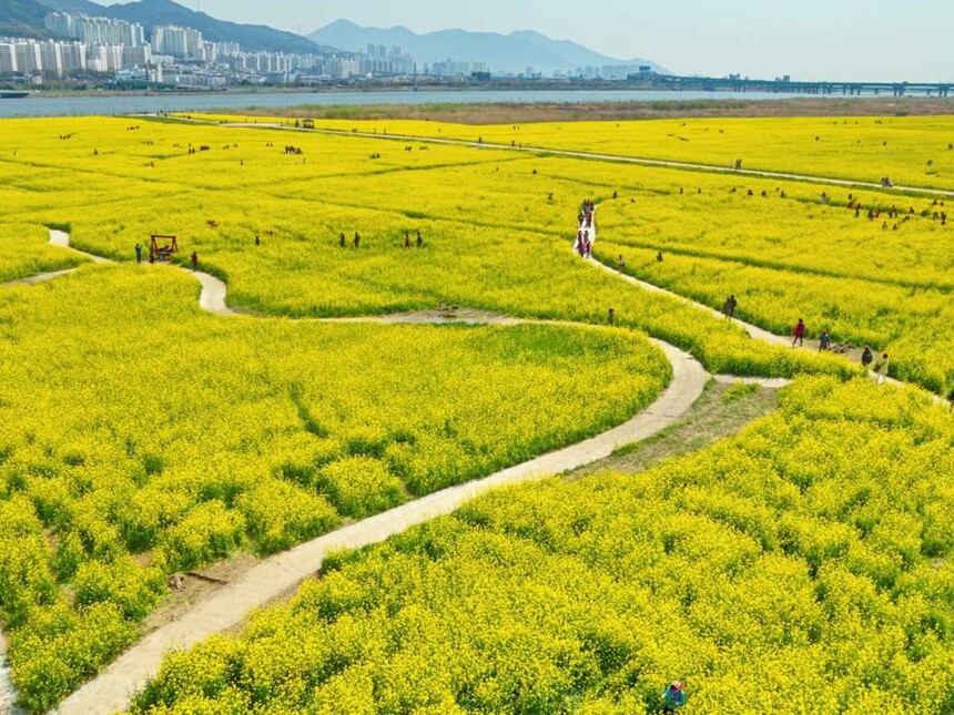 Ecological civilization | Meer